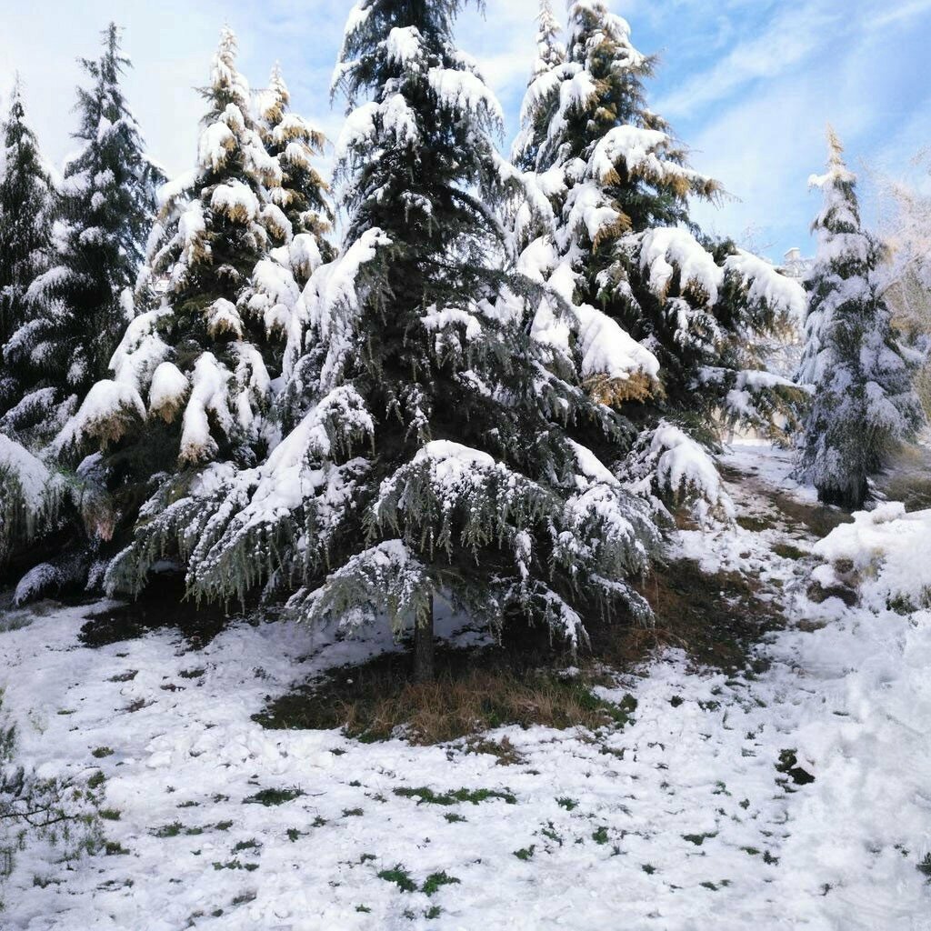 Kültür ve eğlence parkları Şehit Ahmet Tamer Parkı, Ankara, foto