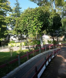 Park Restaurant (Bursa, Karacabey, Tabaklar Mah.), restoran  Karacabey'den