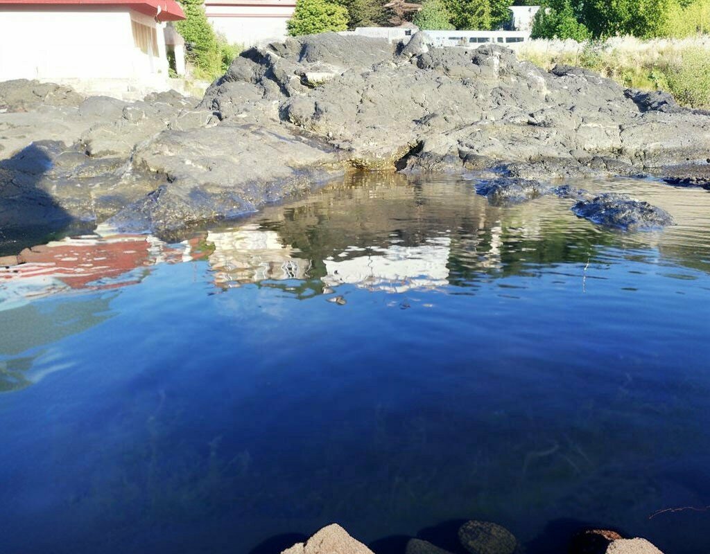 Ekmek fırını Vakfıkebir Taş Fırın Ekmeği, Çarşıbaşı, foto