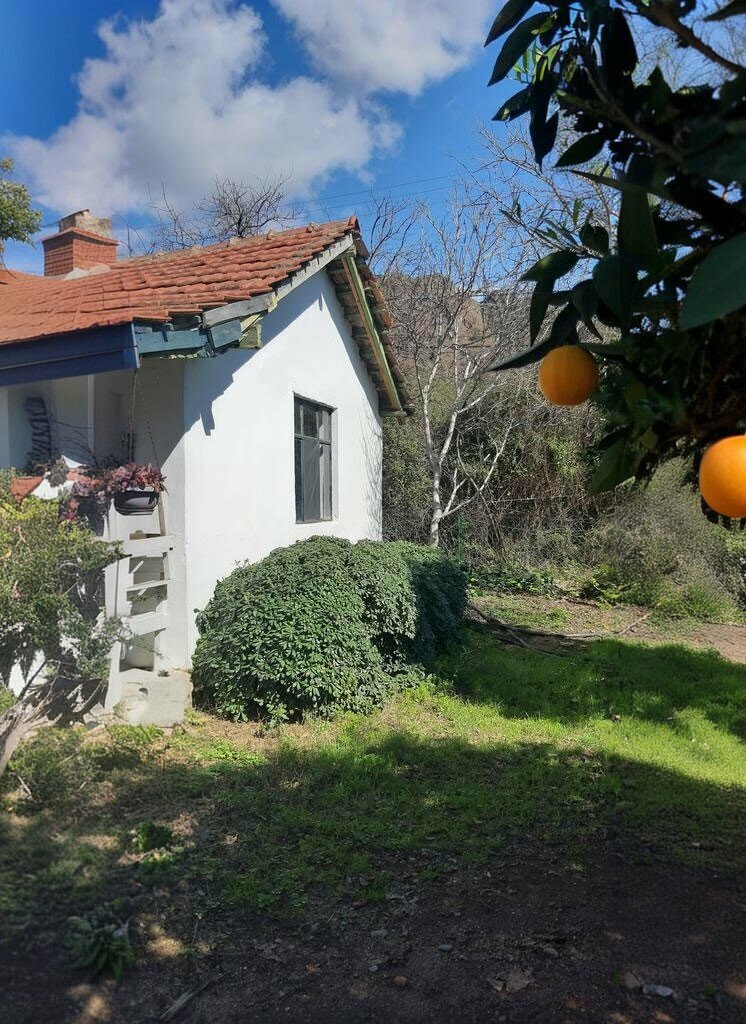 Daireler Cirali Friends Pension&Camping, Kemer, foto