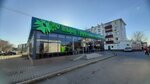 Atyrau Gүlderi (Atyrau, Avangard-3 yqsham aýdany), çiçekçiler  Atırav'dan