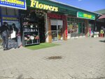 Concept Flower Box (Vojvođanska ulica No:7), çiçekçiler  Novi Sad'dan
