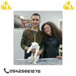 Vetwisee Veteriner Kliniği Diyarbakır (Diyarbakır, Yenişehir, Aziziye Mah., Toki 1. Cad.), veteriner klinikleri  Diyarbakır'dan