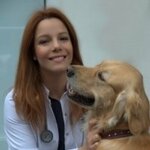 City-Vet Veteriner (İstanbul, Kadıköy, Bağdat Cad.), veteriner klinikleri  İstanbul'dan