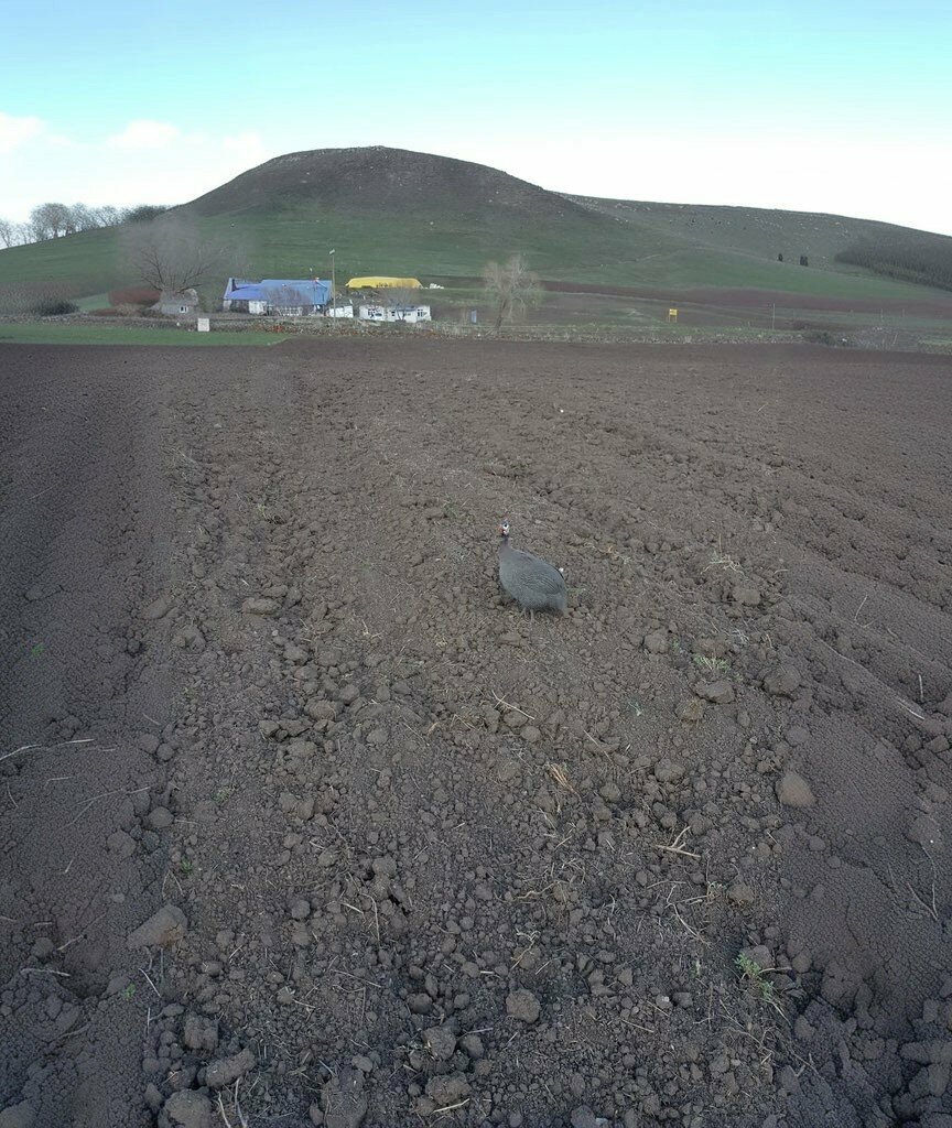 Muhtarlıklar Kamışlı Köy Muhtarlığı, Selim, foto