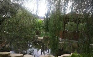 Saklıbahçe Lokanta (Samsun, Ayvacık, Orhangazi Mah., Menderes Sok.), restoran  Ayvacık'tan