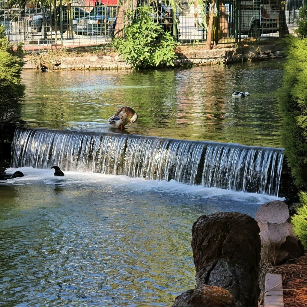 Restoran Sarıkız şelale alabalık lokantası ve kahvaltı salonu, Domaniç, foto