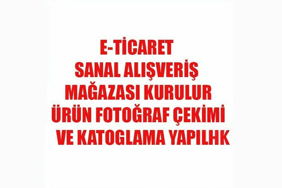 Web tasarım hizmetleri Web tasarımcı, Ankara, foto