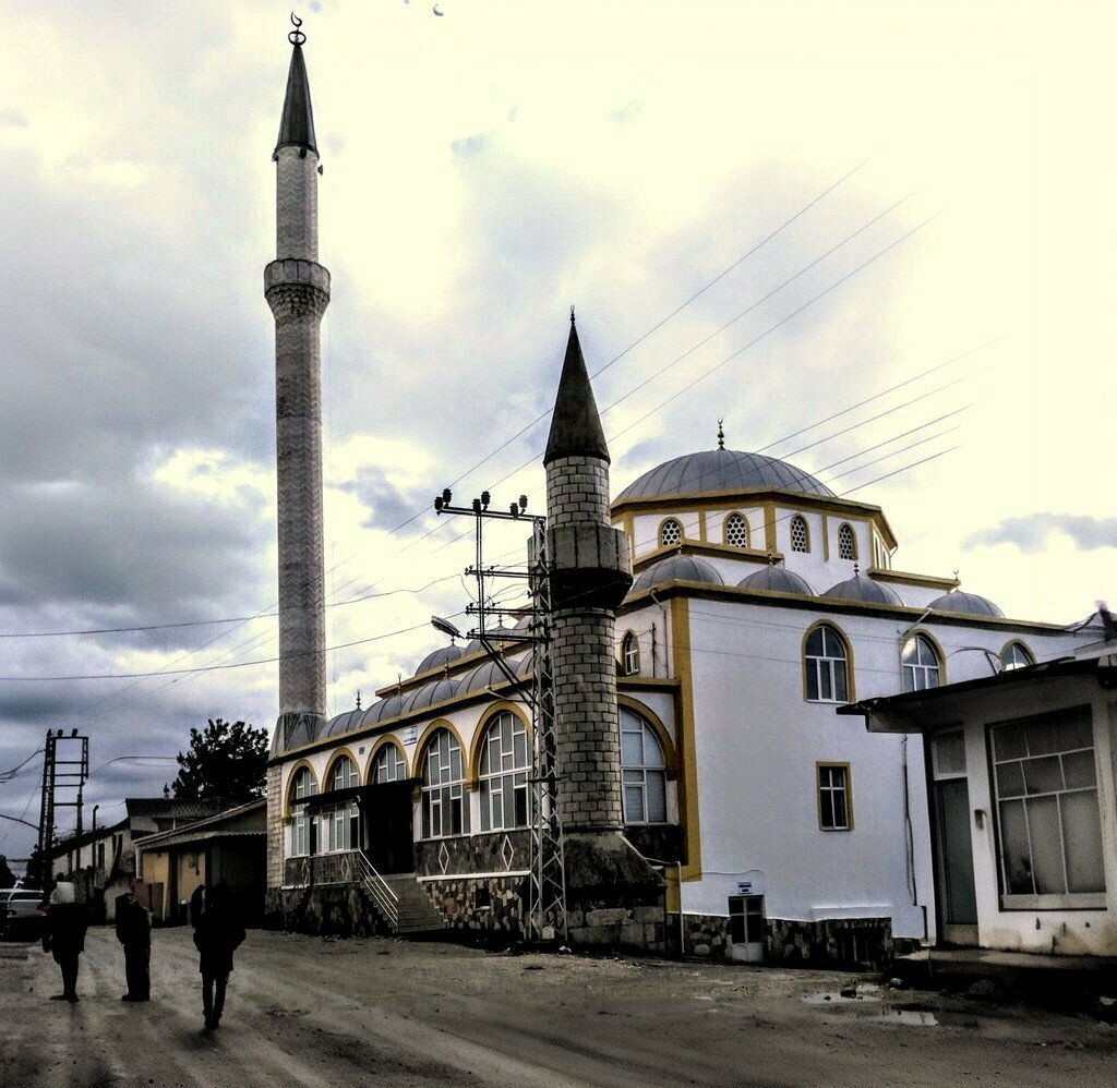 Piknik alanı Uluköy Göleti ve Piknik Alanı, Taşova, foto