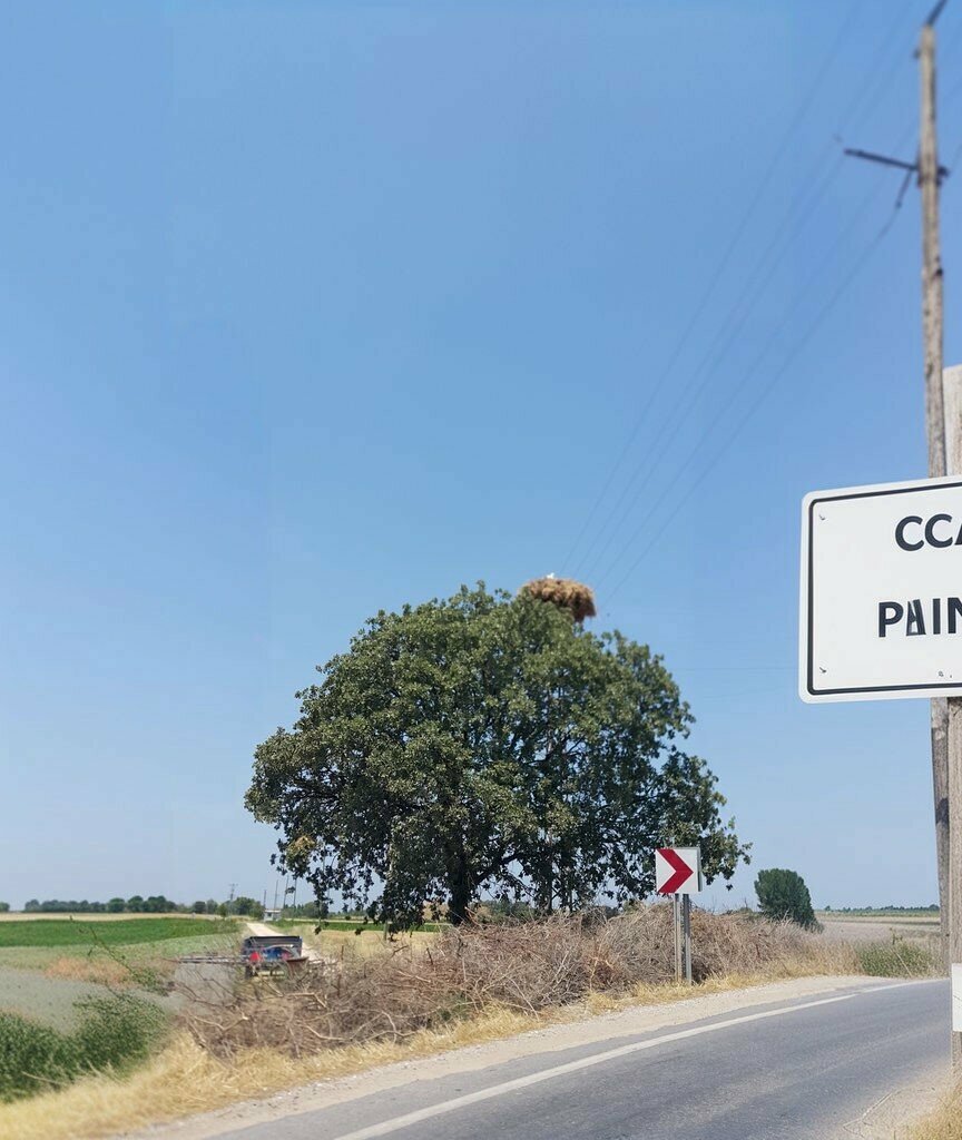 Cami Taştepe Köyü Cami, Ezine, foto