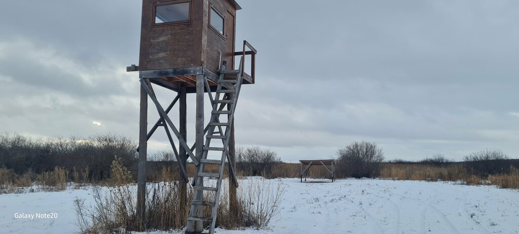 Avcılar ve balıkçılar Ostrovskoye okhotkhozyaystvo, Volgogradskaya oblastı, foto