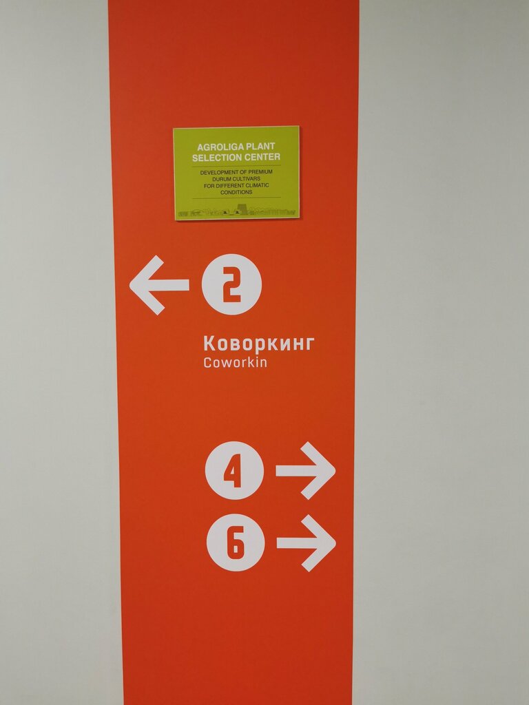 Tohum üretimi Agroliga Rossii, Moskova, foto
