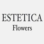 Estetica Flowers (ulitsa Podtyolkova No:17), çiçekçiler  Morozovsk'tan