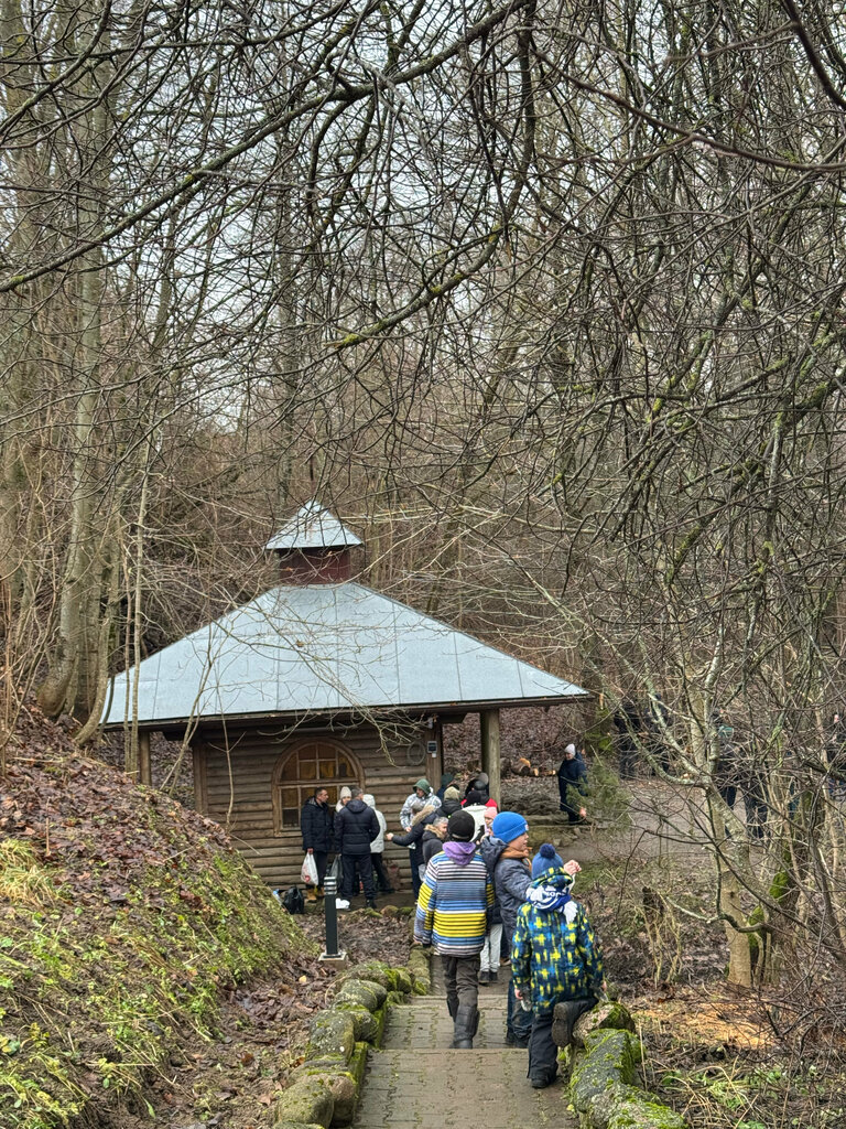 Şapel, haç anıtı Купель святого великомученика Пантелеймона-целителя, Minskaya oblastı, foto