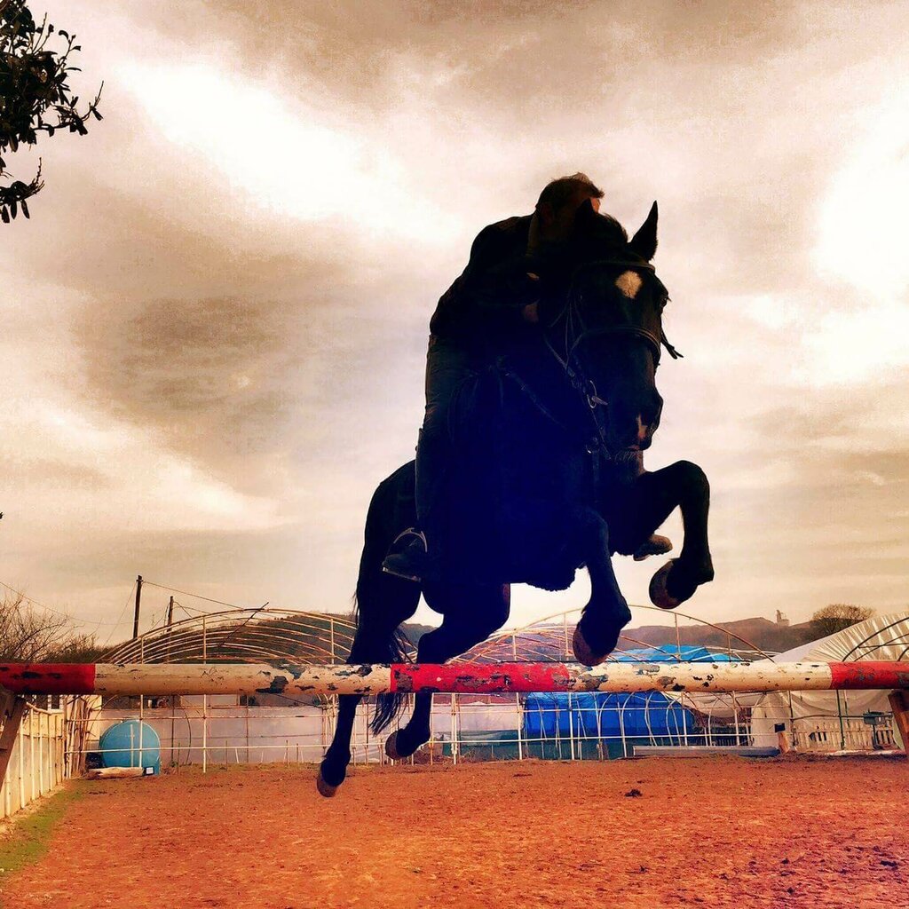 At ve binicilik kulüpleri Hasat Ekolojik ve Binicilik, İstanbul, foto