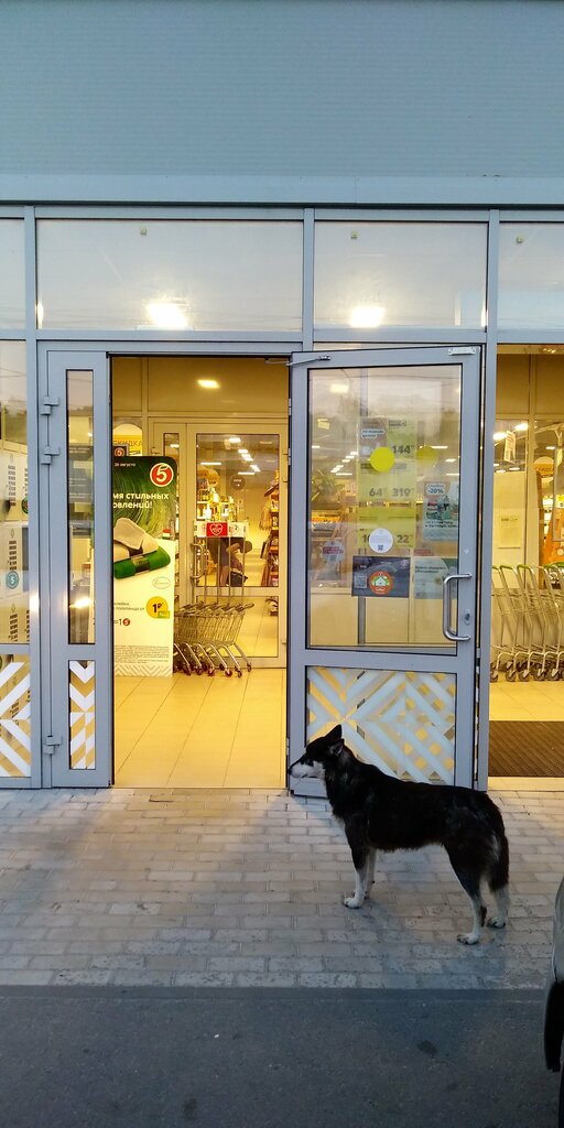 Süpermarket Pyatyorochka, Ulyanovsk, foto