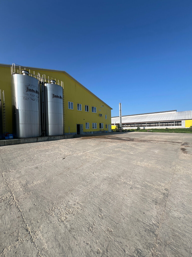 Hayvancılık Русский сыр, Kalujskaya oblastı, foto