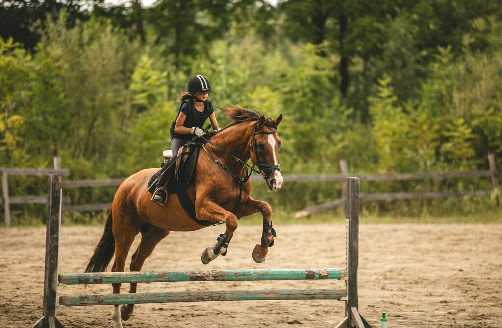 At ve binicilik kulüpleri Зелёная улица, 167, Habarovski krayı, foto
