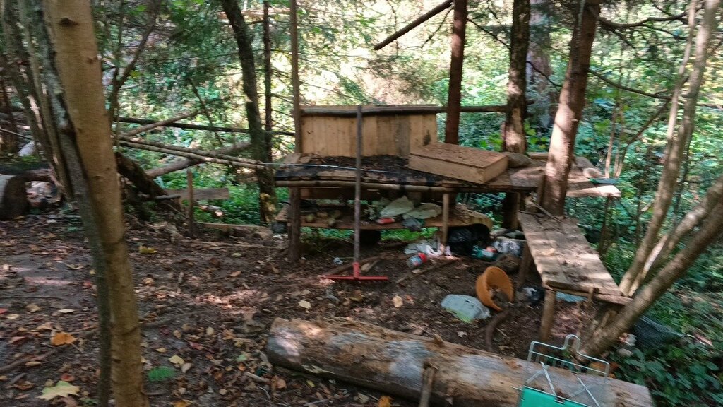 Piknik alanı Место на Журавке, Moskova ve Moskovskaya oblastı, foto