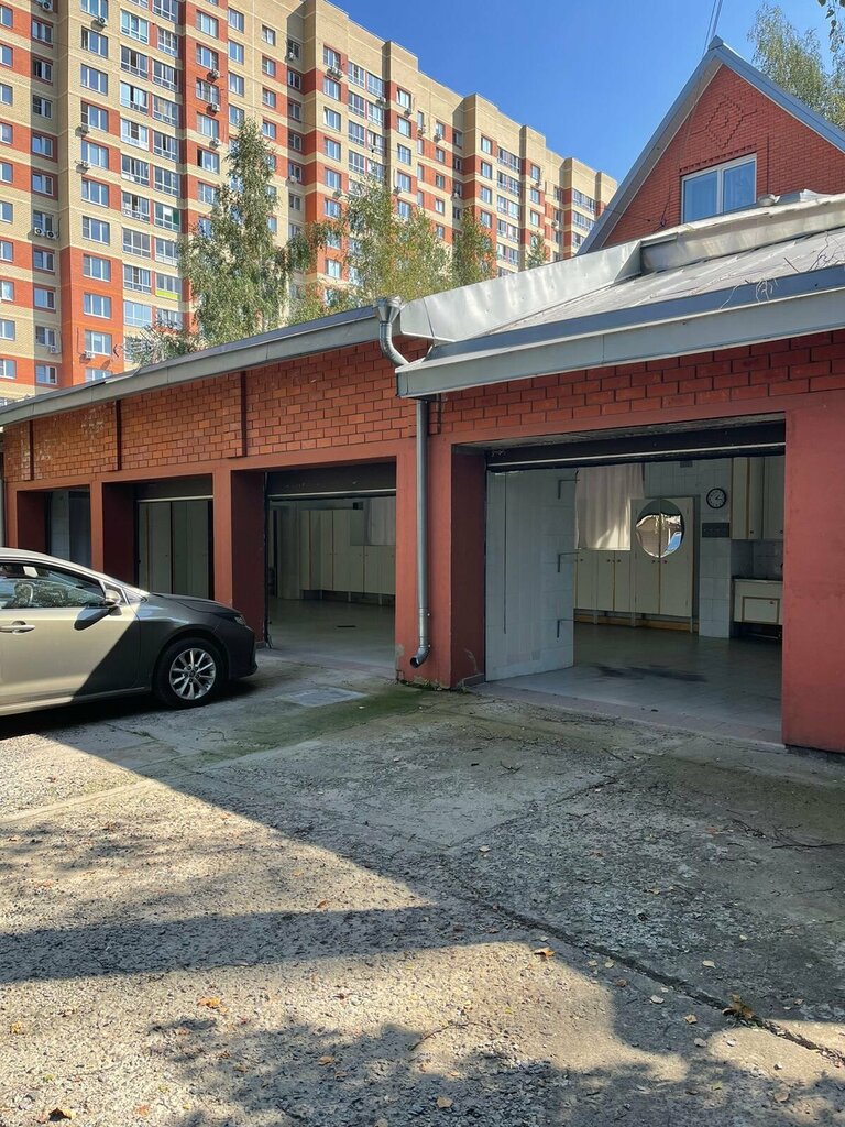 Araç camlarının renklendirilmesi Pro_detailing_garik, Domodedovo, foto