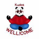 Kudos Well (Tsentralnaya Street No:60), özel ders hizmetleri  Sergiyev Posad'dan