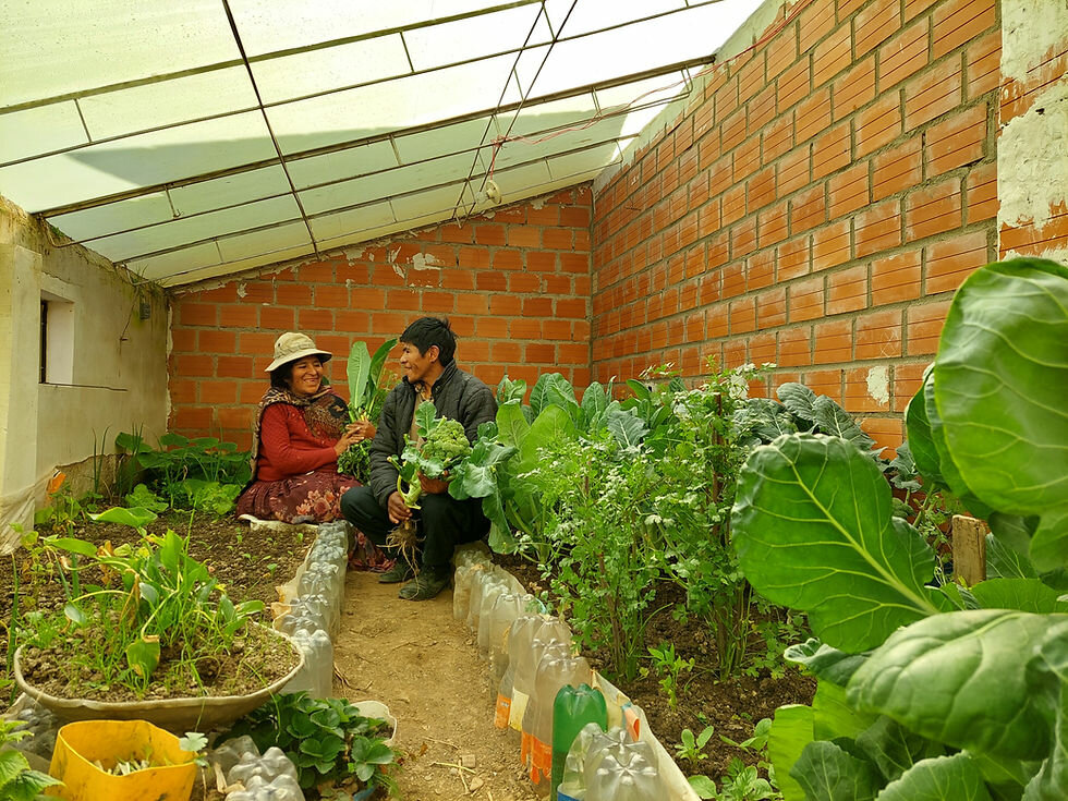 Yönetim ofisi Fundación Comunidad Y Axión, El Alto, foto