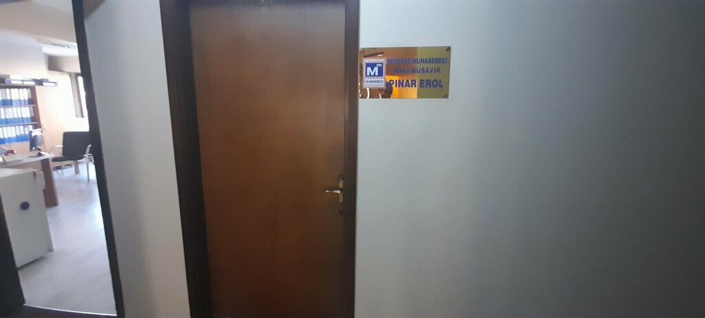 Mali müşavir Smmm Pınar Erol, İstanbul, foto