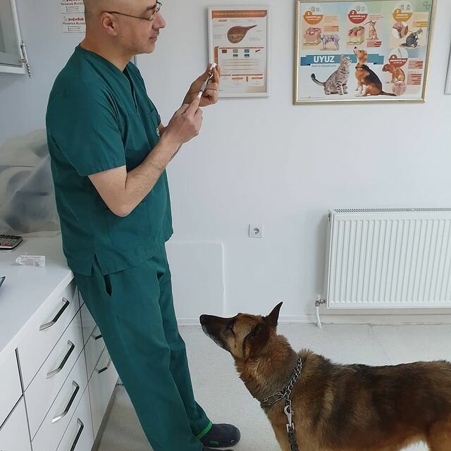 Veteriner klinikleri Pufuduk Veteriner Kliniği, Ankara, foto
