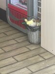 Провинция (Krasnodar Territory, Ust-Labinsk, ulitsa Lenina), market  Ust‑Labinsk'ten