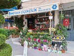 Meydan Çiçekçilik (Reşatbey Mah., Beş Ocak Cad., No:45 B, Seyhan, Adana), çiçekçiler  Adana'dan
