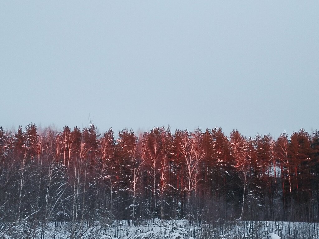 Kuyu Well, Moskova ve Moskovskaya oblastı, foto