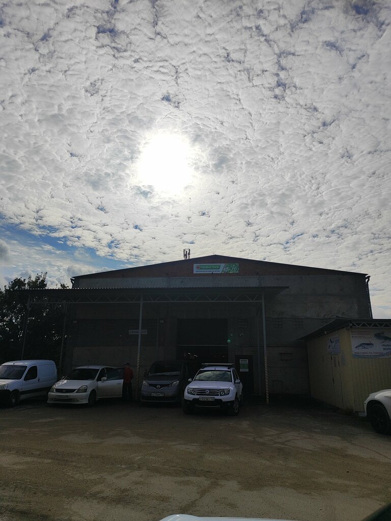 Hediyelik eşya mağazaları Mir morskikh rakovin, Krasnodarski krayı, foto