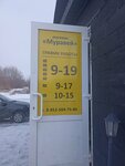Муравей (Yuzhnaya ulitsa No:17З), yapı mağazası  Verhneuralsk'tan