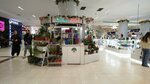 Flower dia (Chyngyz Aytmatov Avenue No:3, Lenin District), çiçekçiler  Bişkek'ten