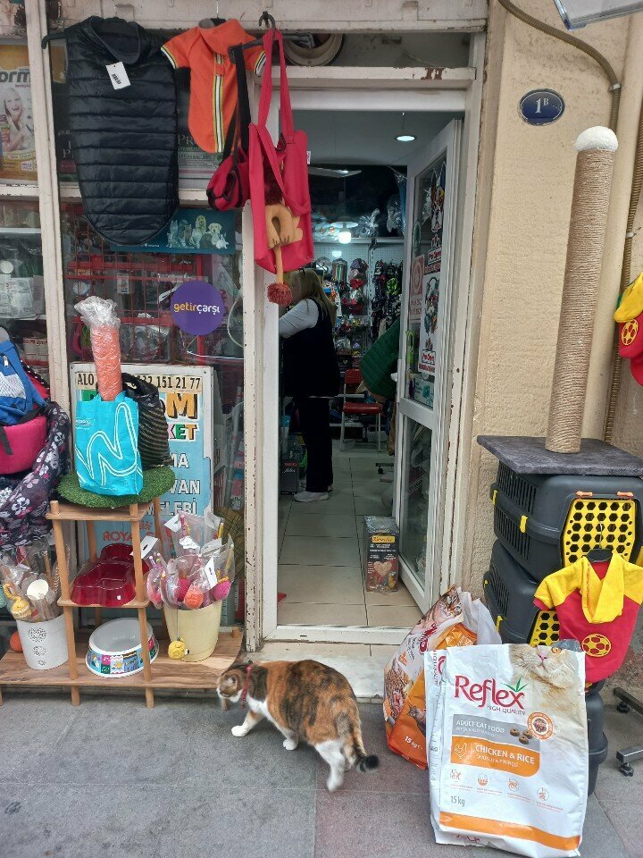 Petshop Didom Pet Market, İzmir, foto