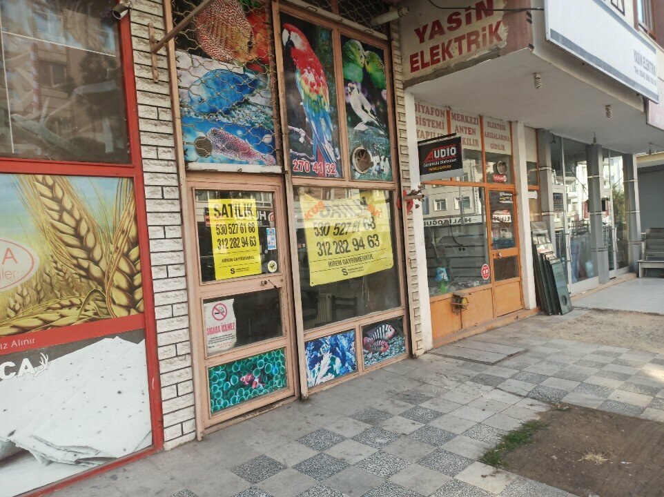 Akvaryumlar Saygılı Kuş Ve Akvaryum, Ankara, foto