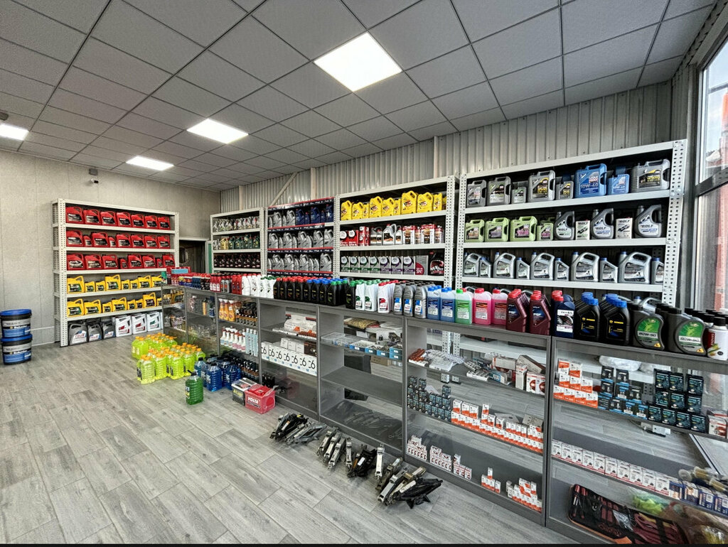 Otomobil servisi VIP Oil Service, Almatı, foto