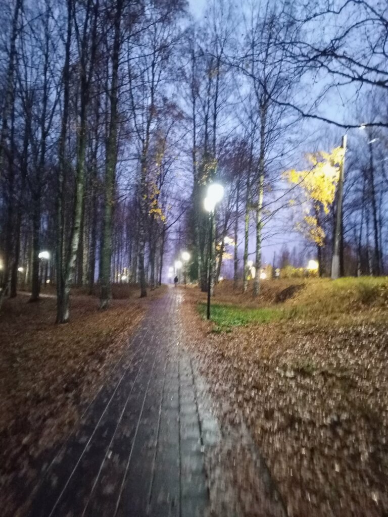 Kültür ve eğlence parkları сквер Березовая роща, Podorogie, foto