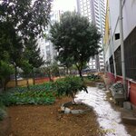 Niyazi Ekerbiçer Özel Eğitim İlkokulu (Adana, Çukurova, Belediye Evleri Mah., 84198. Sok., 4), i̇lkokul  Adana'dan