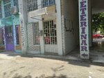 Ehsf (Pariske Komune Street No:27), emlak ofisi  Belgrad'dan