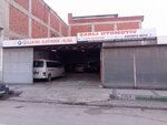 Şanlı Otomotiv (Bursa, Osmangazi, Küçükbalıklı Mah., Şanlı Cad., 87/1), otomobil servisi  Bursa'dan
