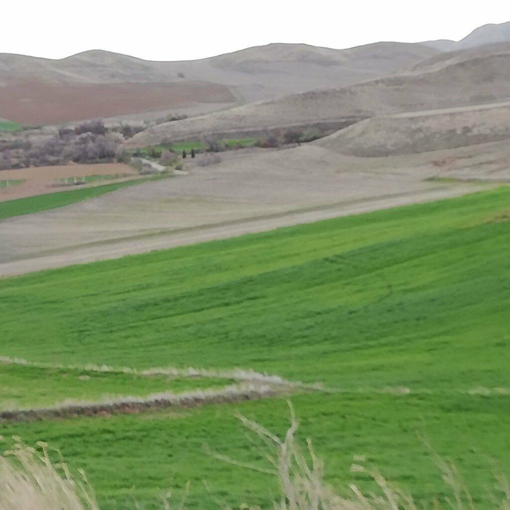 Muhtarlıklar Boztepe Köy Muhtarlığı, Sungurlu, foto