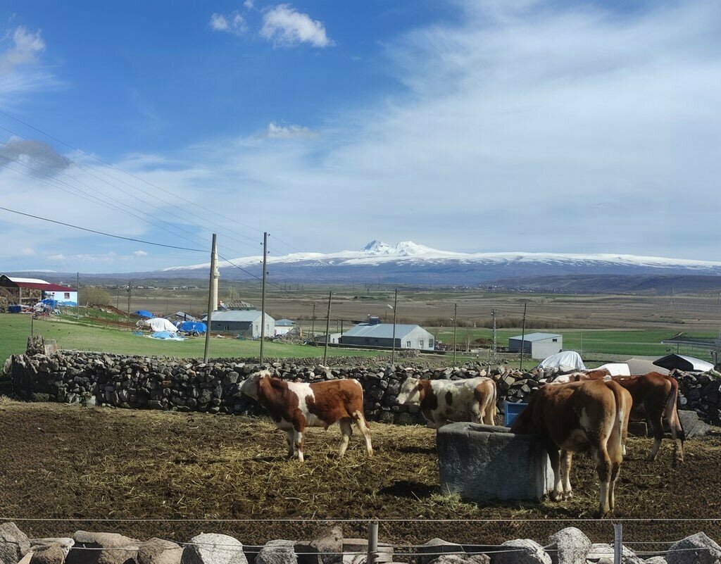 Muhtarlıklar Çetindurak Köy Muhtarlığı, Akyaka, foto