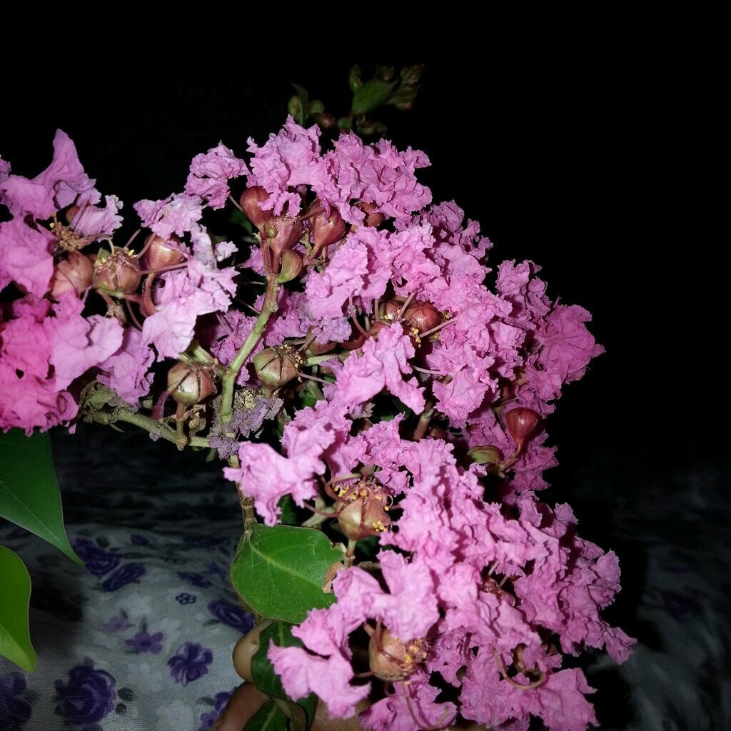 Stadyum Stadyum, Bursa, foto