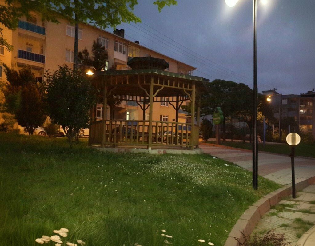 Kültür ve eğlence parkları Teoman Taş Parkı, Samsun, foto