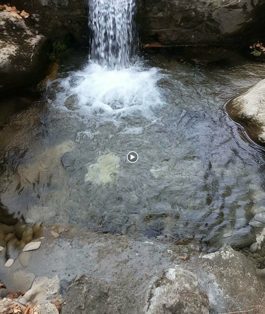Kasap, şarküteri Kemah Yayla Tulum Peynirleri, Erzincan, foto