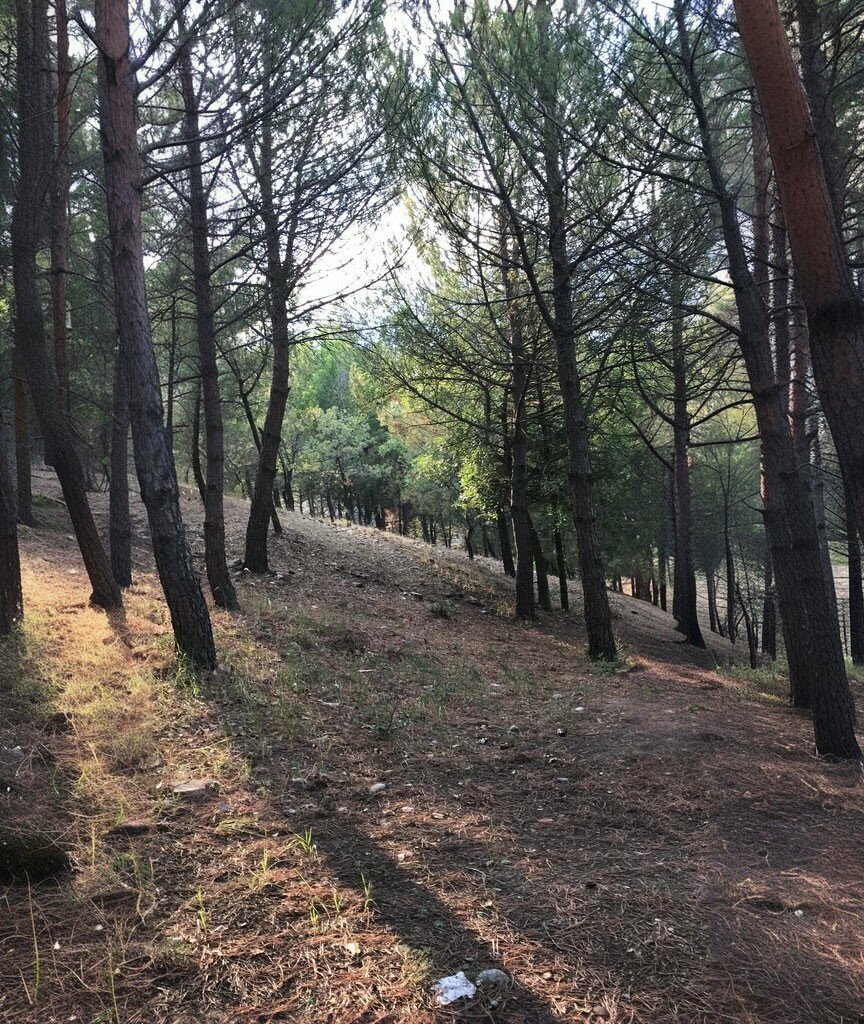 Piknik alanı Uluköy Göleti ve Piknik Alanı, Taşova, foto