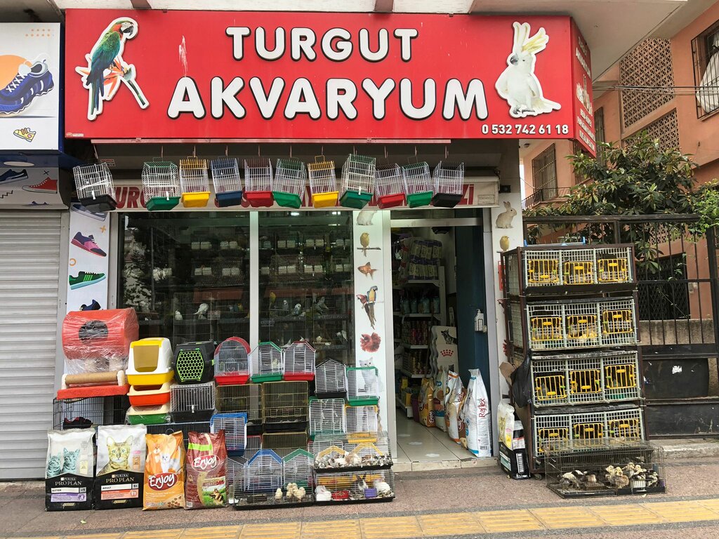 Petshop Turgut Akvaryum Evcil Hayvanlar, Mersin, foto