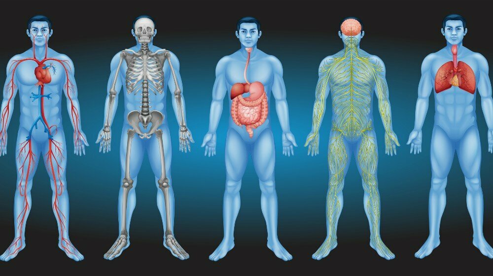 Özel muayenehaneler Dr. Kamil Teker, İstanbul, foto