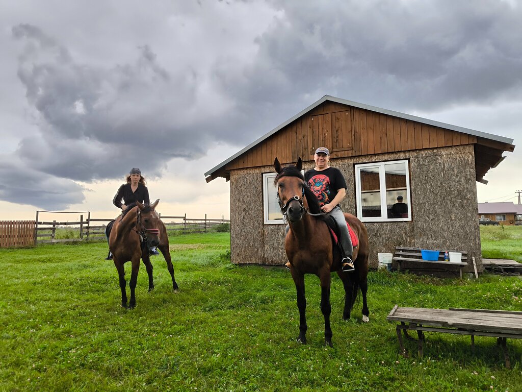 At ve binicilik kulüpleri Есаул, Krasnoyarski krayı, foto